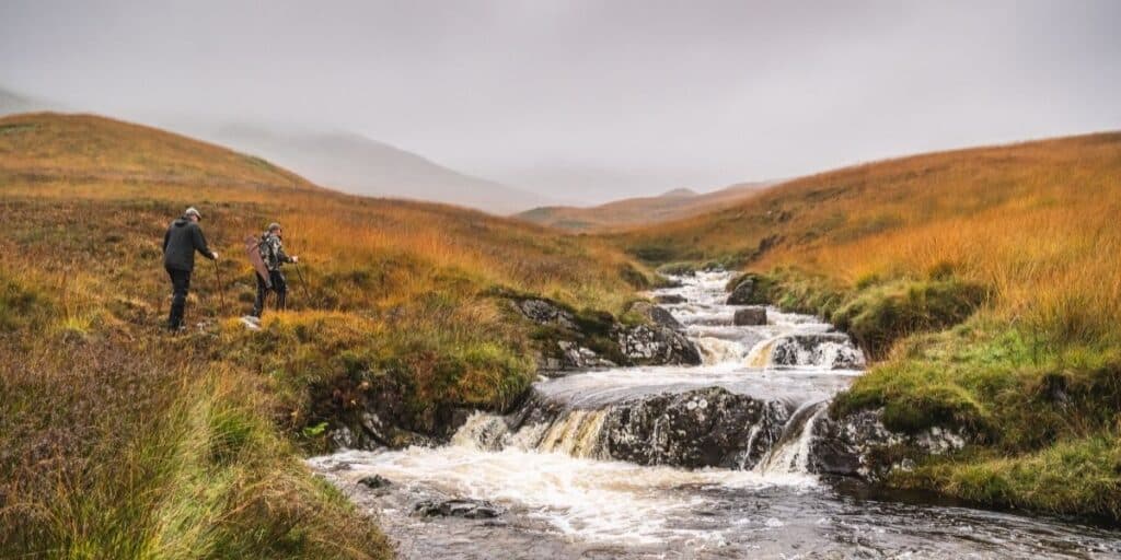 Your Guide to The Best Country Sports in Scotland – Country Sport Scotland