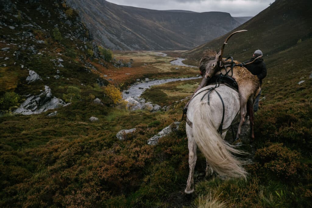 Deer Stalking/Hunting in Scotland – Country Sport Scotland