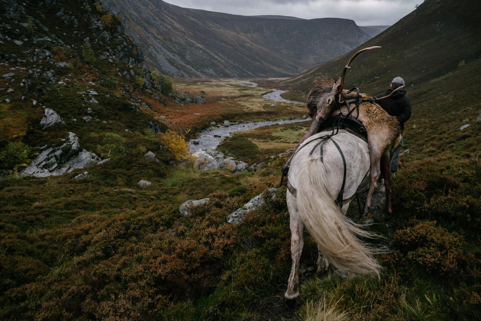 Deer Stalking/Hunting in Scotland – Country Sport Scotland