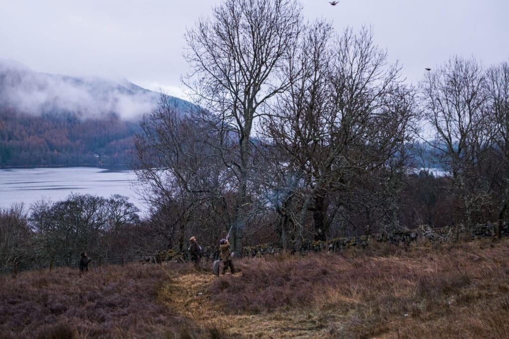 Pheasant – Country Sport Scotland