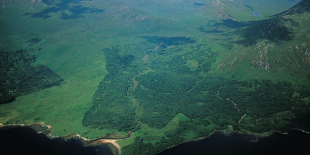 Ardchattan Estate - Country Sport Scotland